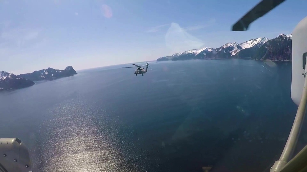 DVIDS - Video - Marine Species Lookout