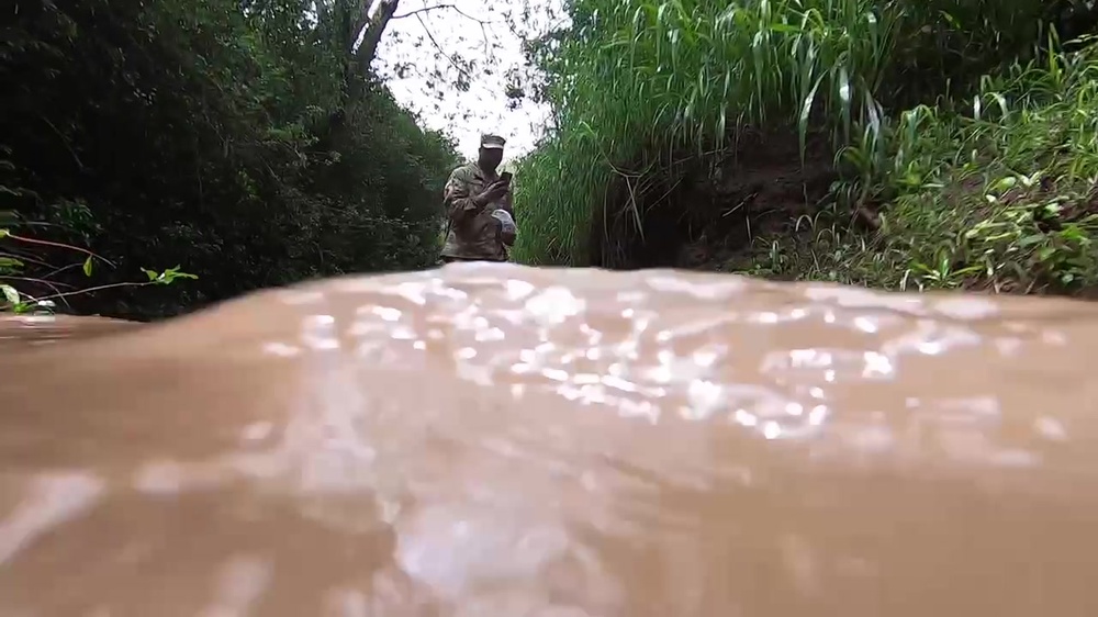 DVIDS - Video - Task Force Oceania Soldiers participate in Jungle ...