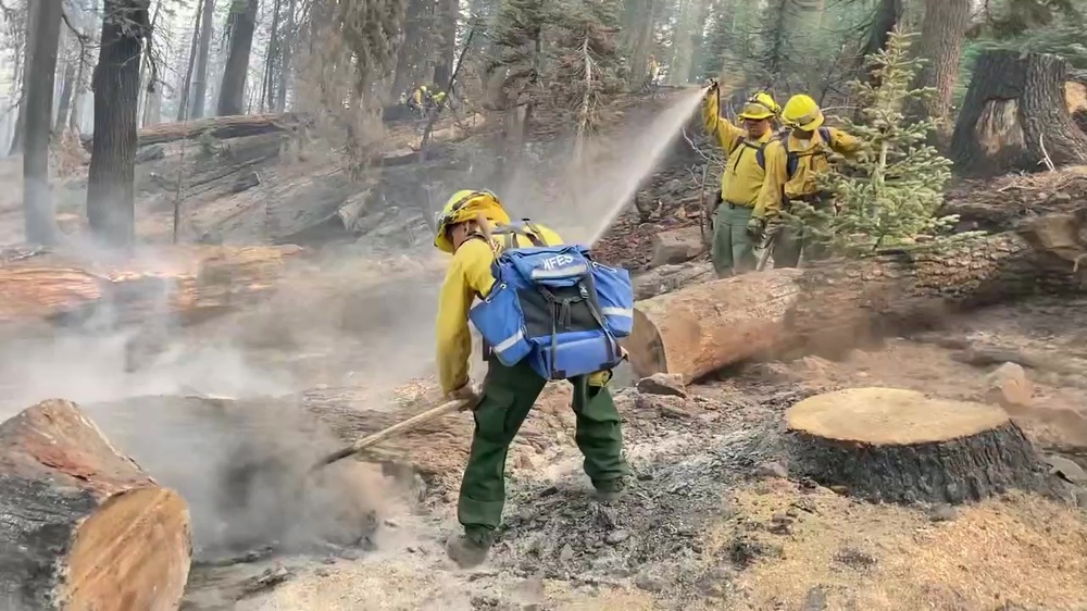 DVIDS - Video - Cal Guard handcrew works Dixie Fire