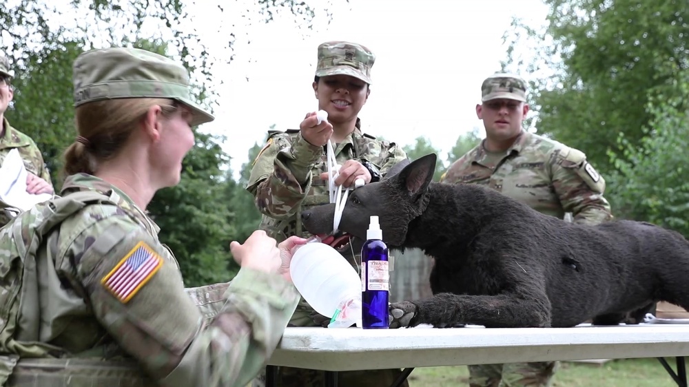 DVIDS - Video - Soldiers from 64th Medical Detachment VSS Participate ...