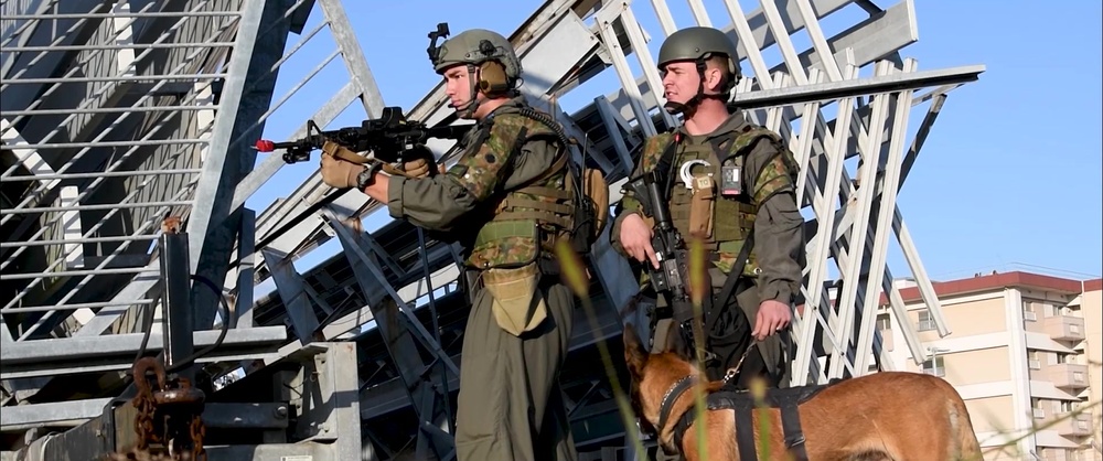 DVIDS - Video - Active Shield 2021