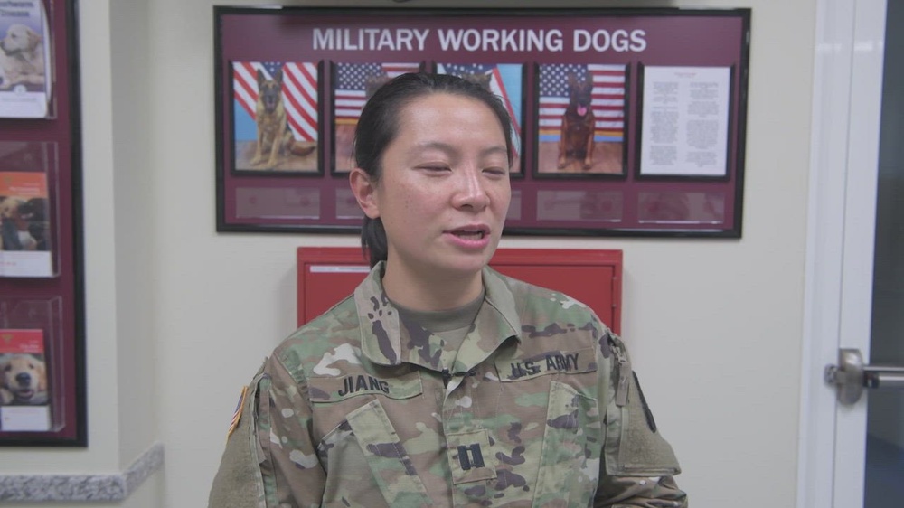 DVIDS - Video - U.S. Army Health Clinic Vicenza