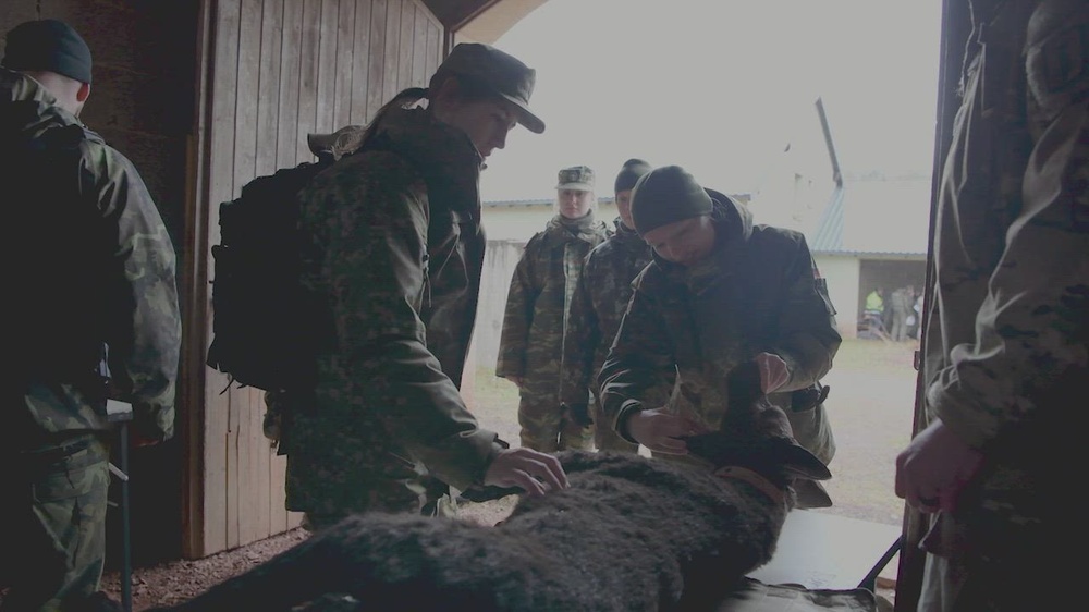 DVIDS - Video - K9 Tactical Combat Casualty Care (w/o Graphics 720p)