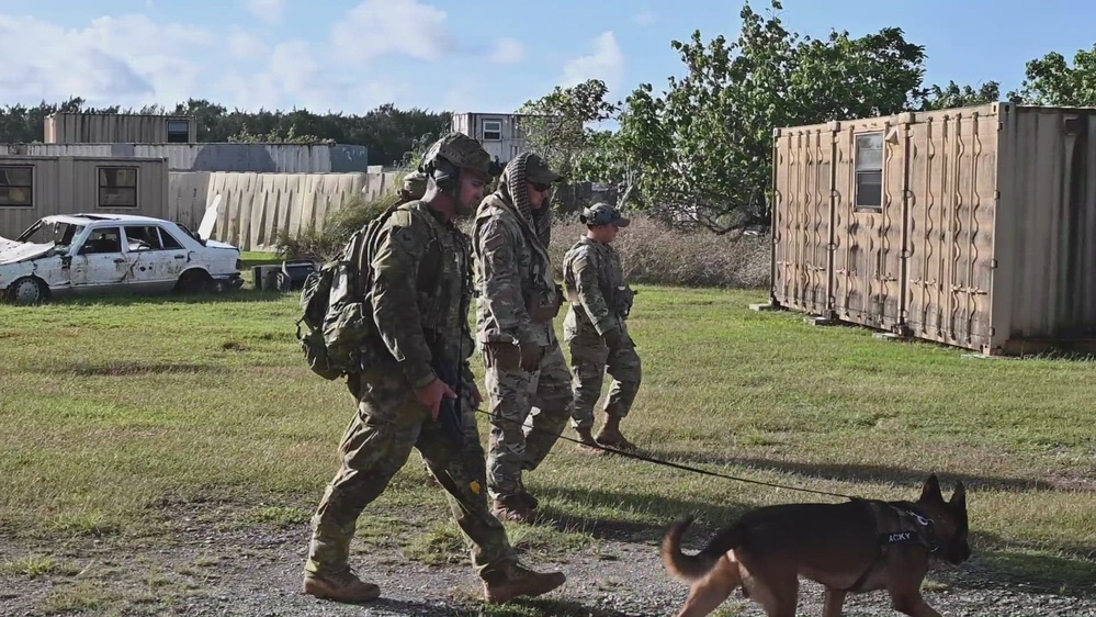 DVIDS - Video - Pacific Defender 2022 K9 B-Roll