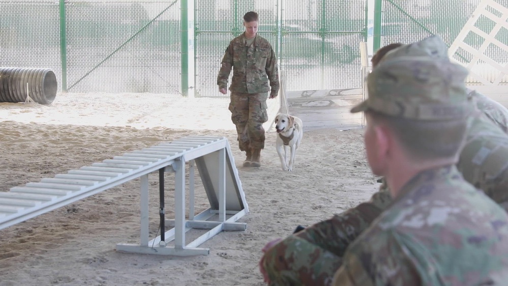 DVIDS - Video - Military Working Dog Handler Demonstration