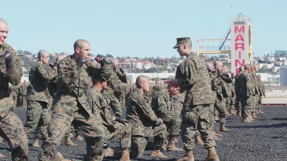 DVIDS - Video - Delta company participates in MCMAP test at MCRDSD
