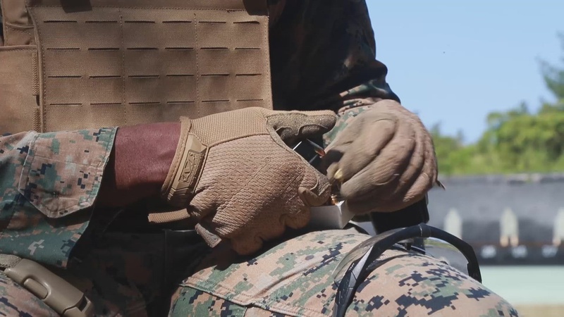 DVIDS - 3rd Marine Division