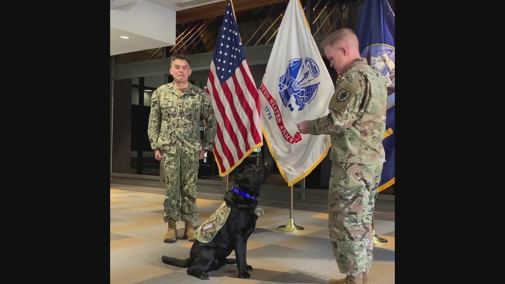 DVIDS - Video - Army Sgt. Grover Reports for Duty as USU's Newest ...