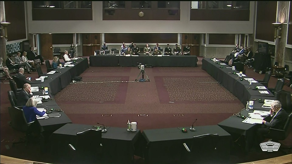 DVIDS - Video - Senate Committee Discusses Centcom, Africom Posture, Part 2
