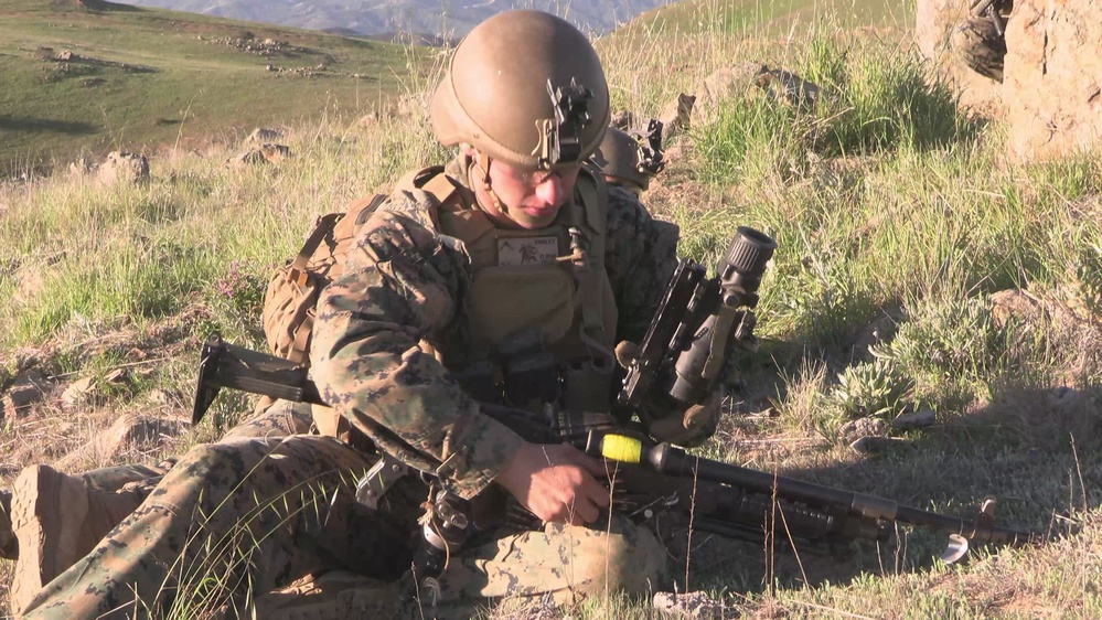 DVIDS - Video - 3/1 Battalion FEX (1 of 2)