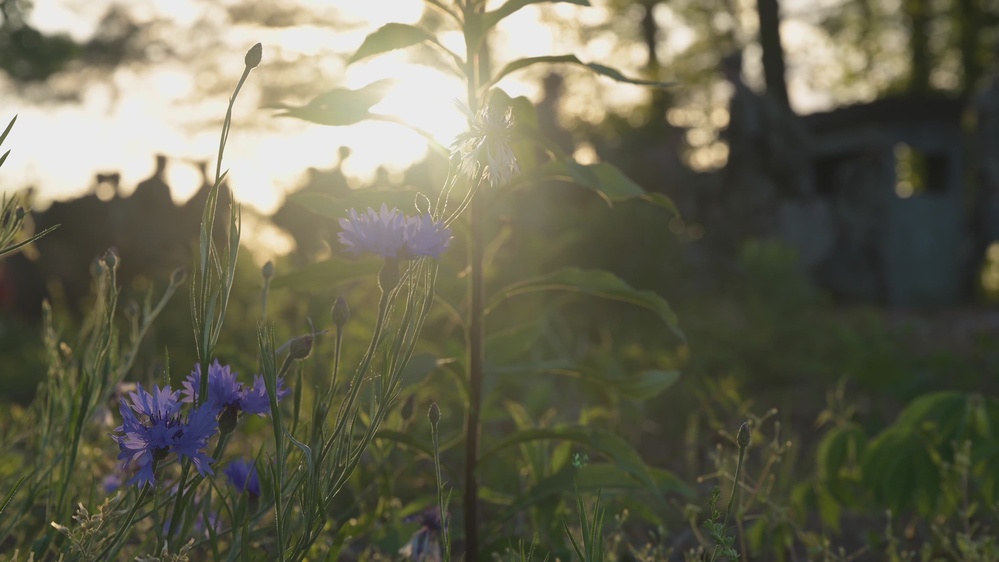 DVIDS - Video - 633 Air Base Wing participates in Exercise Ardent ...