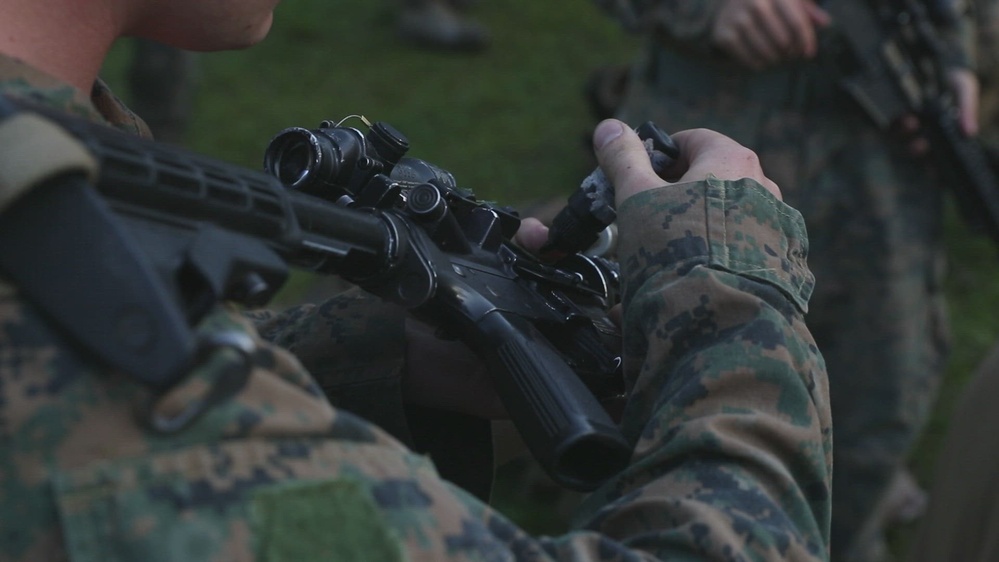 DVIDS - Video - 2d LAR Combat Marksmanship B-Roll