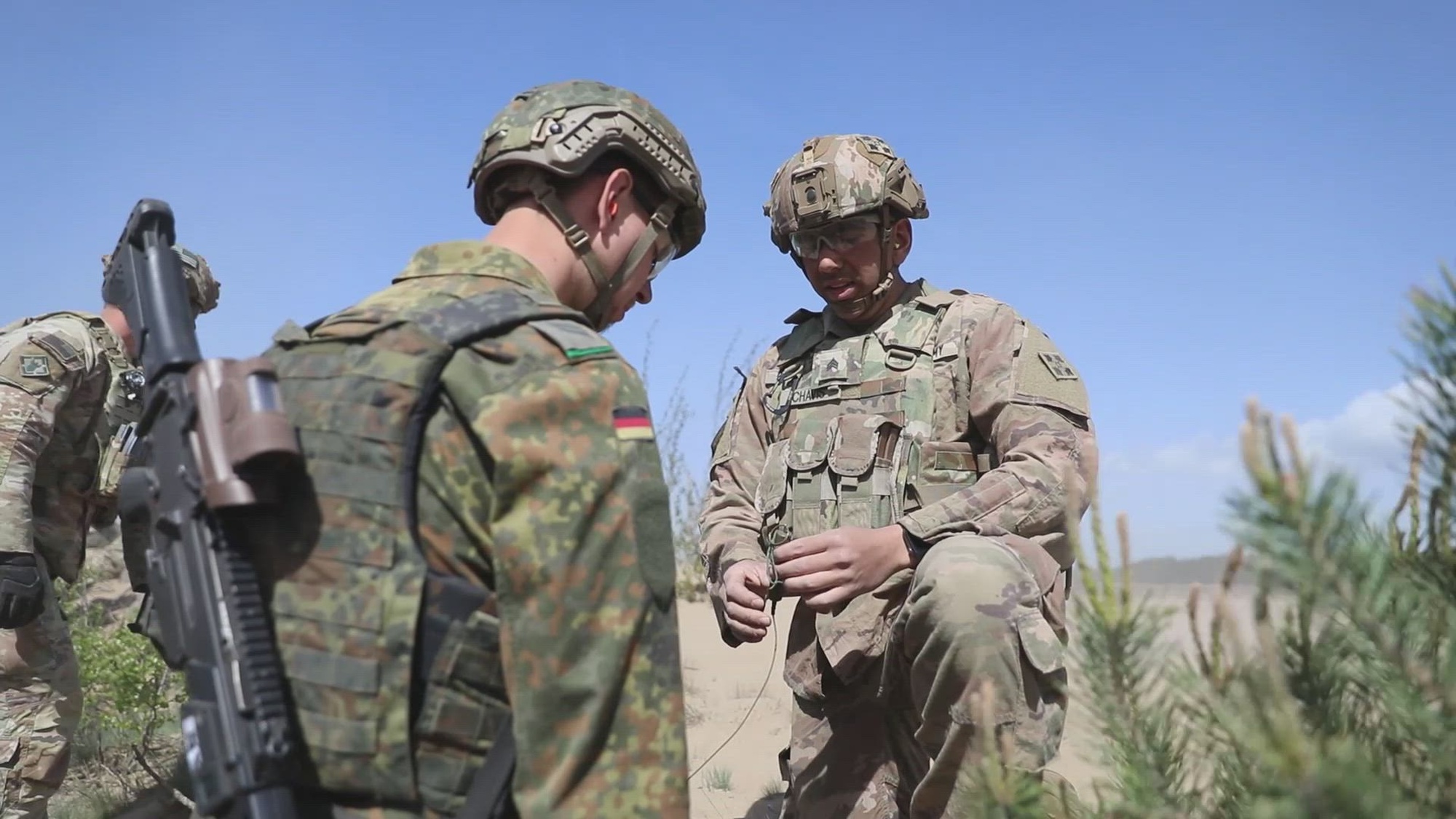 U.S. Army Europe and Africa's home page