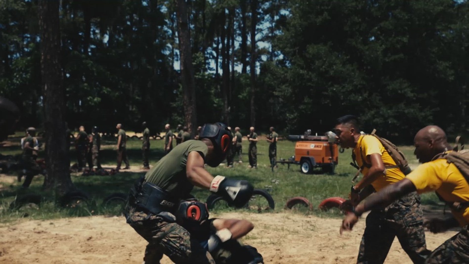 Cornucopia Hunger Games Scene