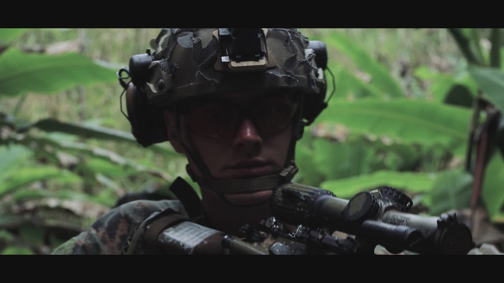 DVIDS - Video - No Competition, No Progress: 3d Marine Division Squad ...