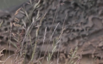 DVIDS - Combined Resolve XVIII