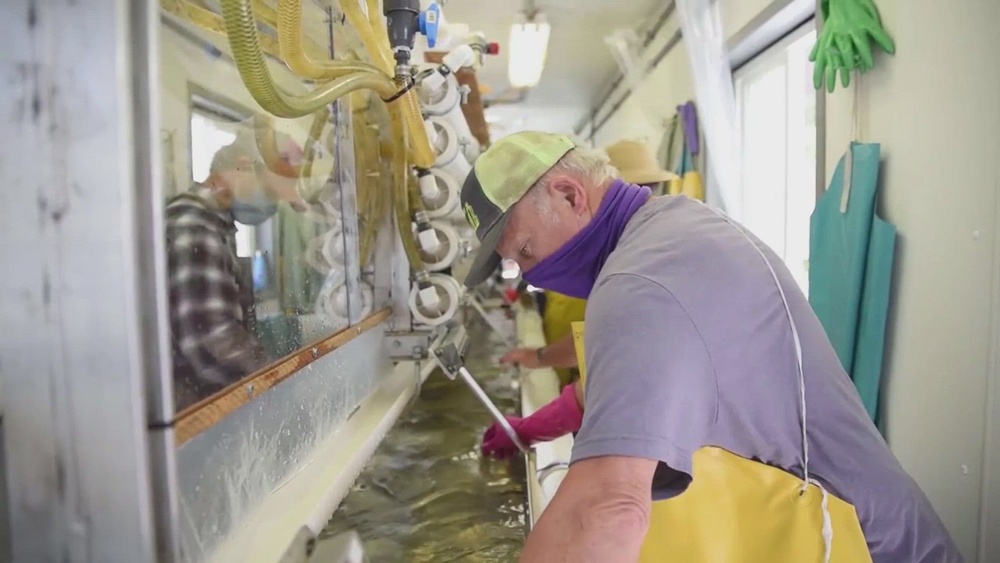 DVIDS - Video - Lower Granite Lock and Dam Juvenile Fish Facility