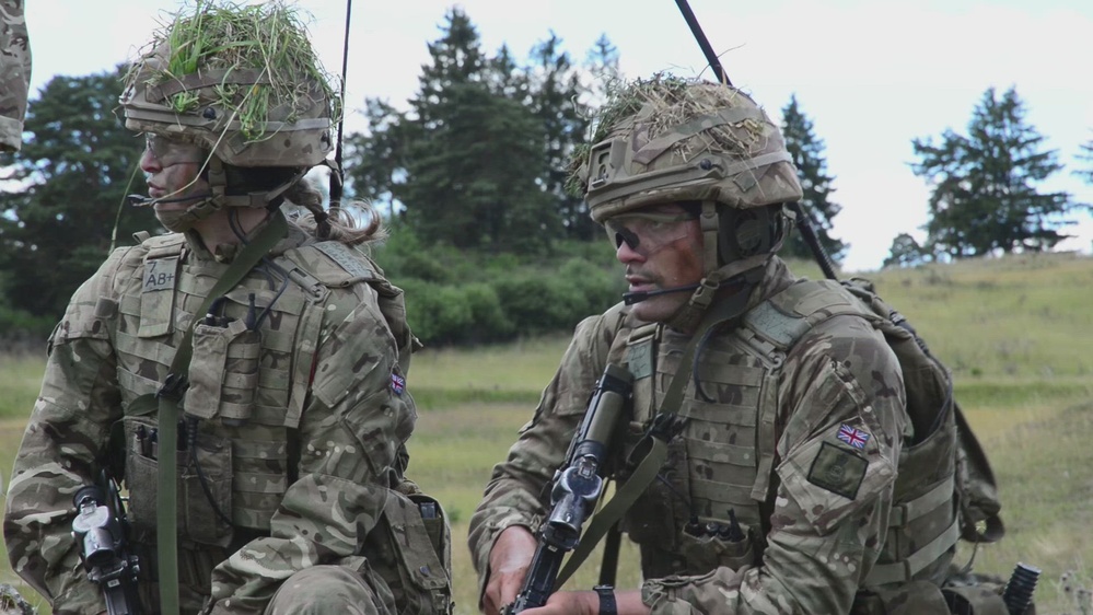 DVIDS - Video - Dynamic Victory 22