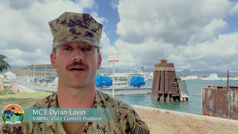 DVIDS - Video - Mass Communication Specialist 3rd Class Dylan Lavin ...