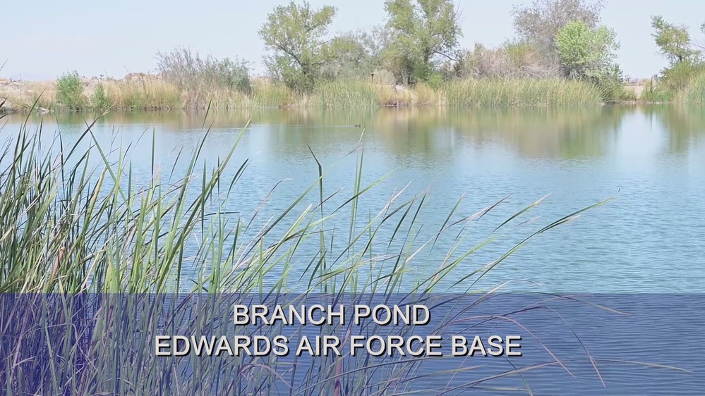 DVIDS - Video - An Outdoor Escape: Branch Pond on Edwards AFB gets ...