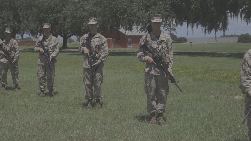 DVIDS - Video - Alpha Company Grass Week B-Roll