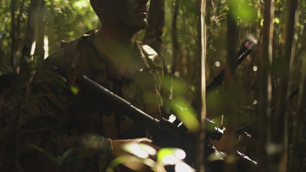 DVIDS - Video - Ground Sensor Platoon | 3d Intelligence Battalion