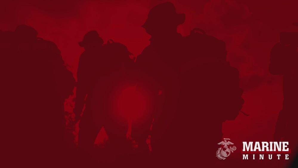 DVIDS - Video - Marine Minute: Cyber Awareness Month