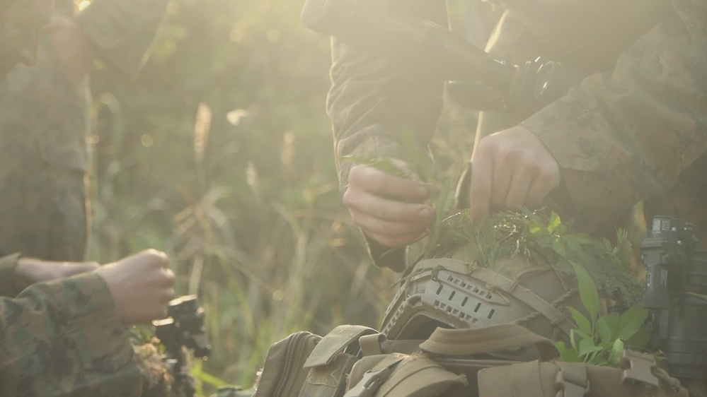 DVIDS - Video - Stand-in Force Exercise: 1st Battalion, 2d Marines Air ...