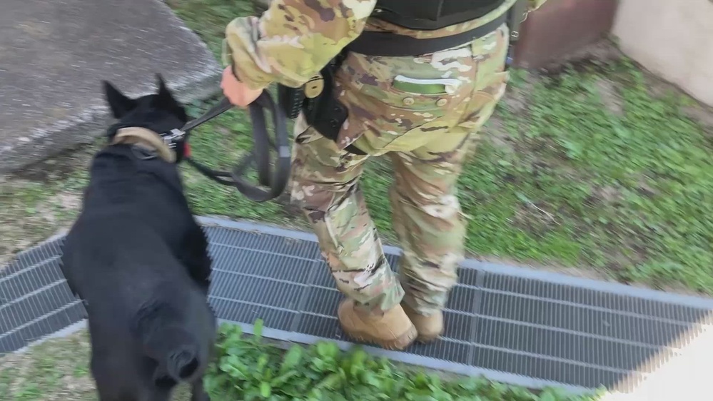 DVIDS - Video - B-Roll – Military working dog handler