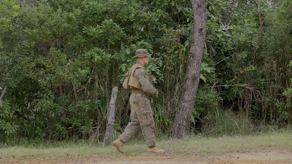 DVIDS - Video - Stand-in Force Exercise, 3d Battalion, 4th Marines B-Roll