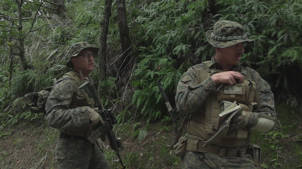 DVIDS - Video - Stand-in Force Exercise, 3d Battalion, 4th Marines B-Roll