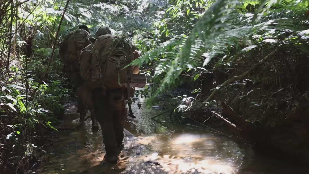DVIDS - Video - Stand-in Force Exercise: 1st Battalion, 2nd Marines B-Roll