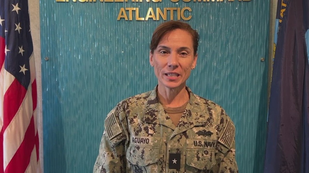 DVIDS - Video - Holiday shout out by U.S. Navy Rear Adm. from Tempe ...