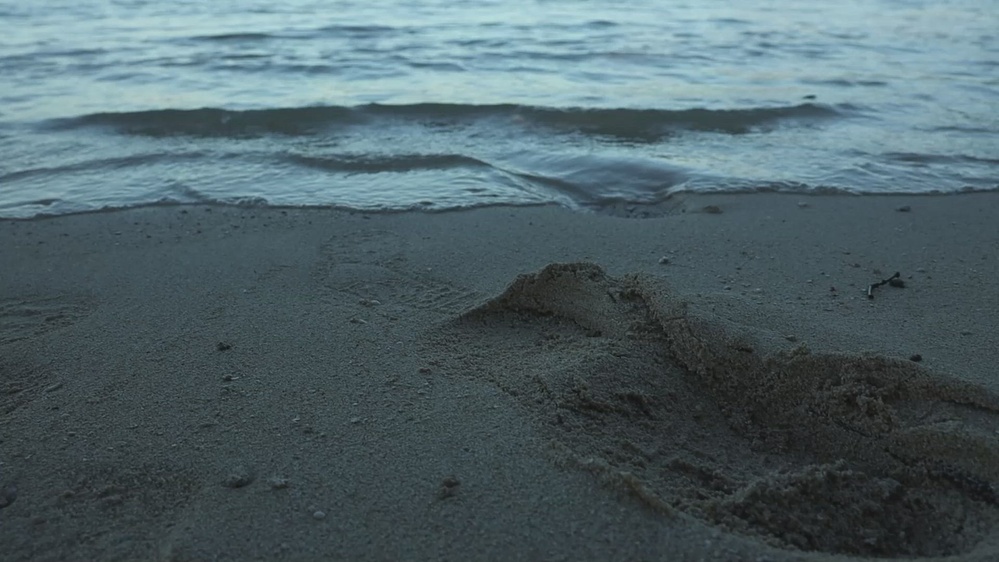 DVIDS - Video - B-roll of the Pacific Ocean at Gab Gab Beach