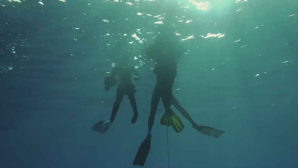 DVIDS - Video - Okinawa Water Safety | 8 Mins