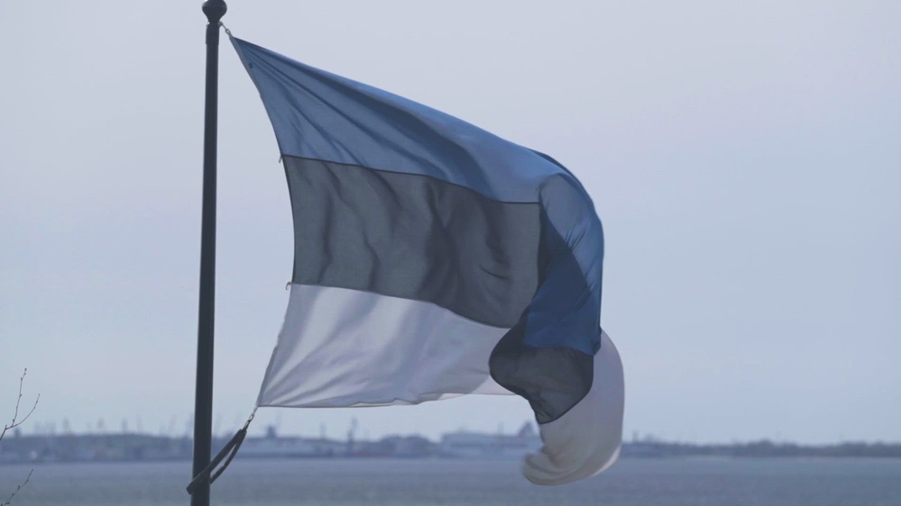 DVIDS - Video - Baltic Phoenix - Part 03