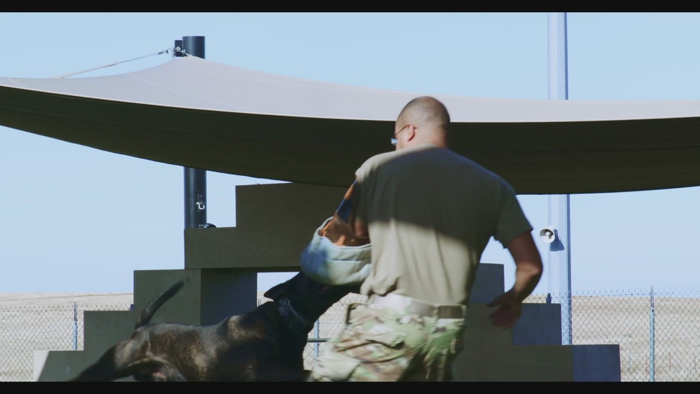 DVIDS - Video - Beale SFS working dogs stringer