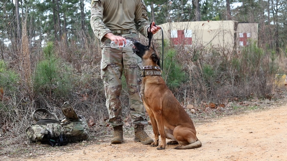 DVIDS - Video - Military Working Dog Handler Competition Day 2