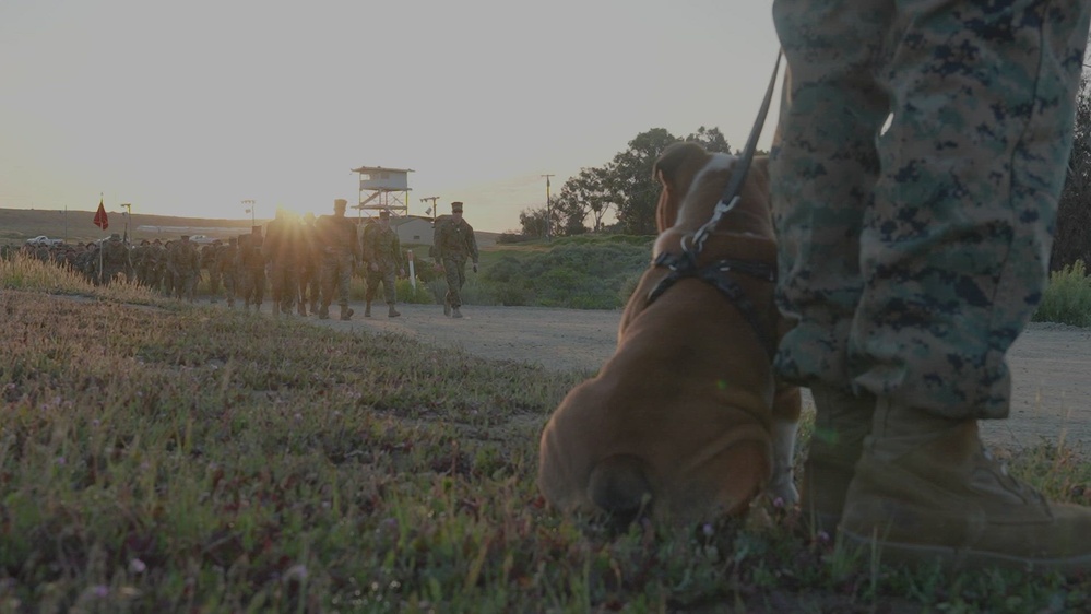 DVIDS - Video - Pvt. Bruno Completes Crucible Event