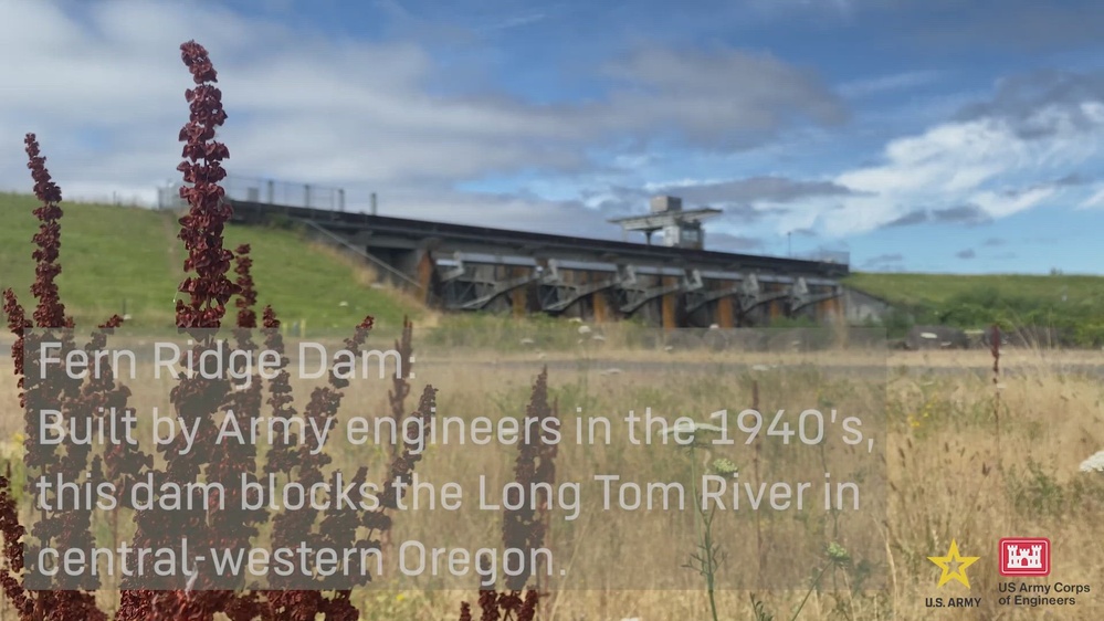 DVIDS - Video - Long Tom River drop structure dangers