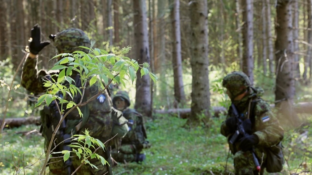 DVIDS - Video - Estonian Defence League conduct field training during ...