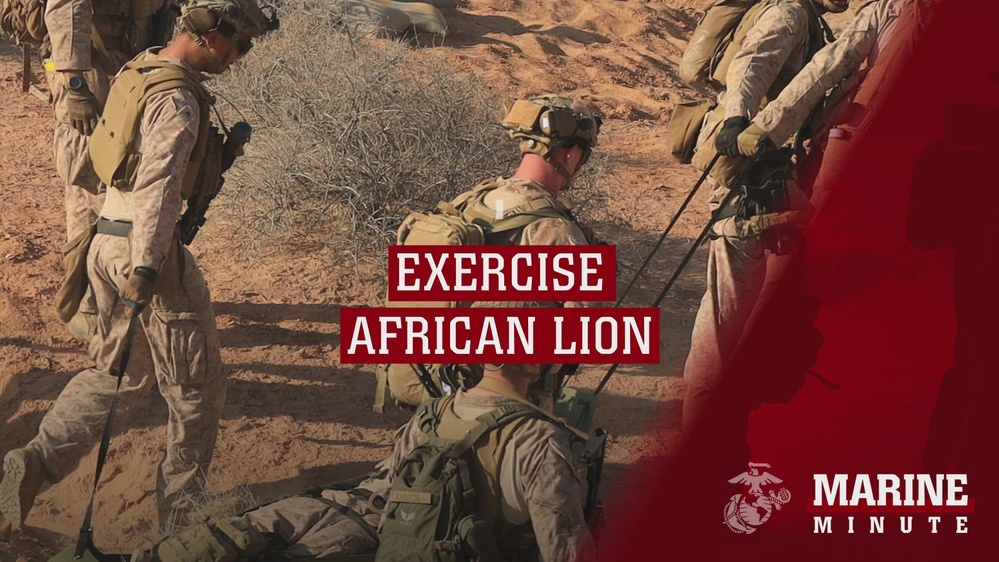 DVIDS - Video - Marine Minute: Exercise African Lion 23
