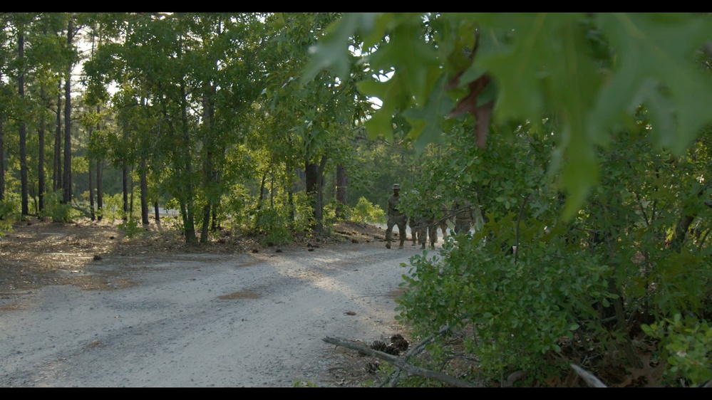 DVIDS - Video - Basic Combat Training-White Phase-Field Training-2