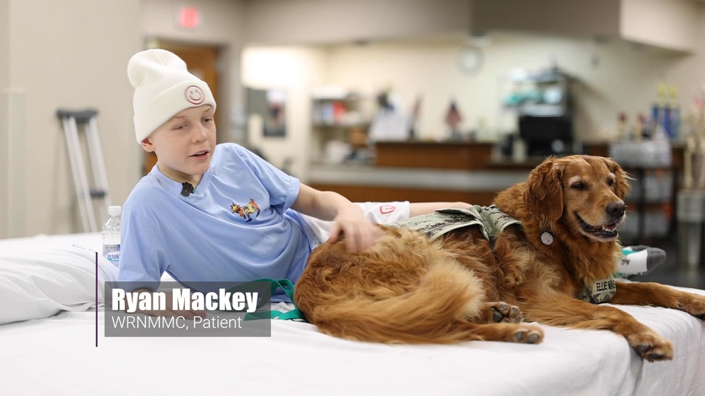 DVIDS - Video - Walter Reed's Facility Dogs Make an Impact
