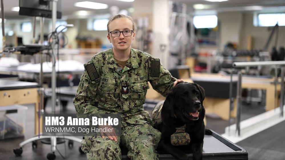 DVIDS - Video - Walter Reed's Facility Dogs Make an Impact