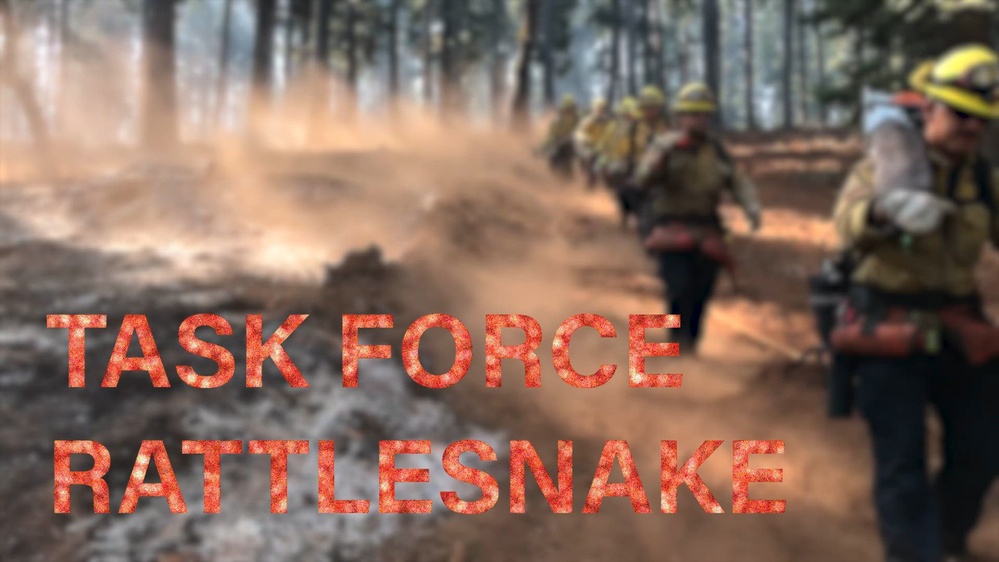 DVIDS - Video - California National Guard's Task Force Rattlesnake ...