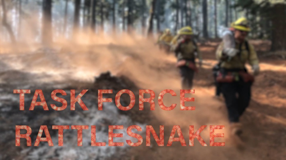 DVIDS - Video - The California National Guard's Task Force Rattlesnake ...