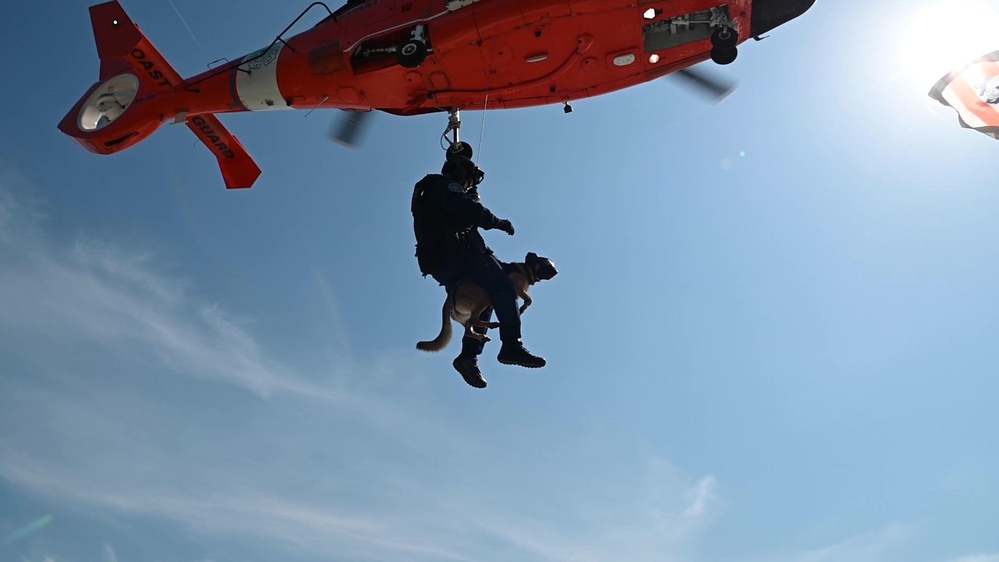 DVIDS - Video - Coast Guard K9 Simba Helicopter to Boat Hoist