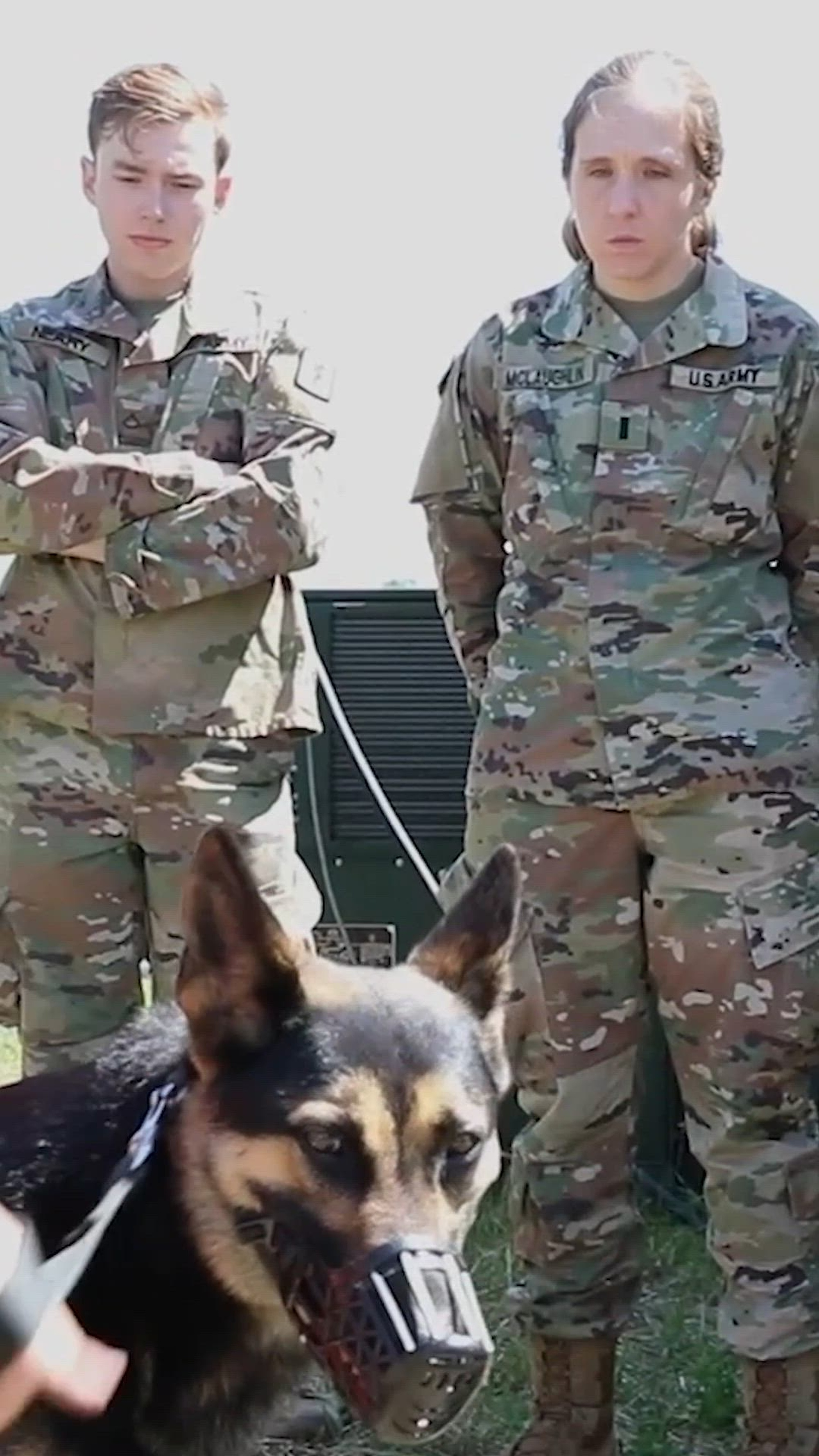 U.S. Army Europe and Africa's home page