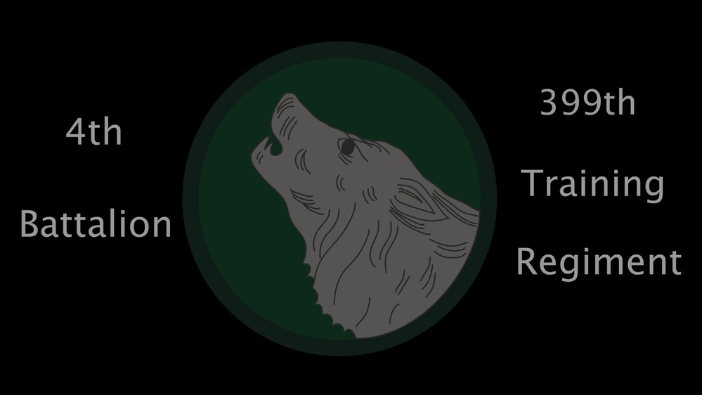 DVIDS - Video - 399th Training Regiment trains video